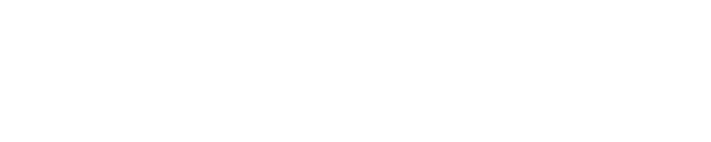 Home - Ranocchi Solution