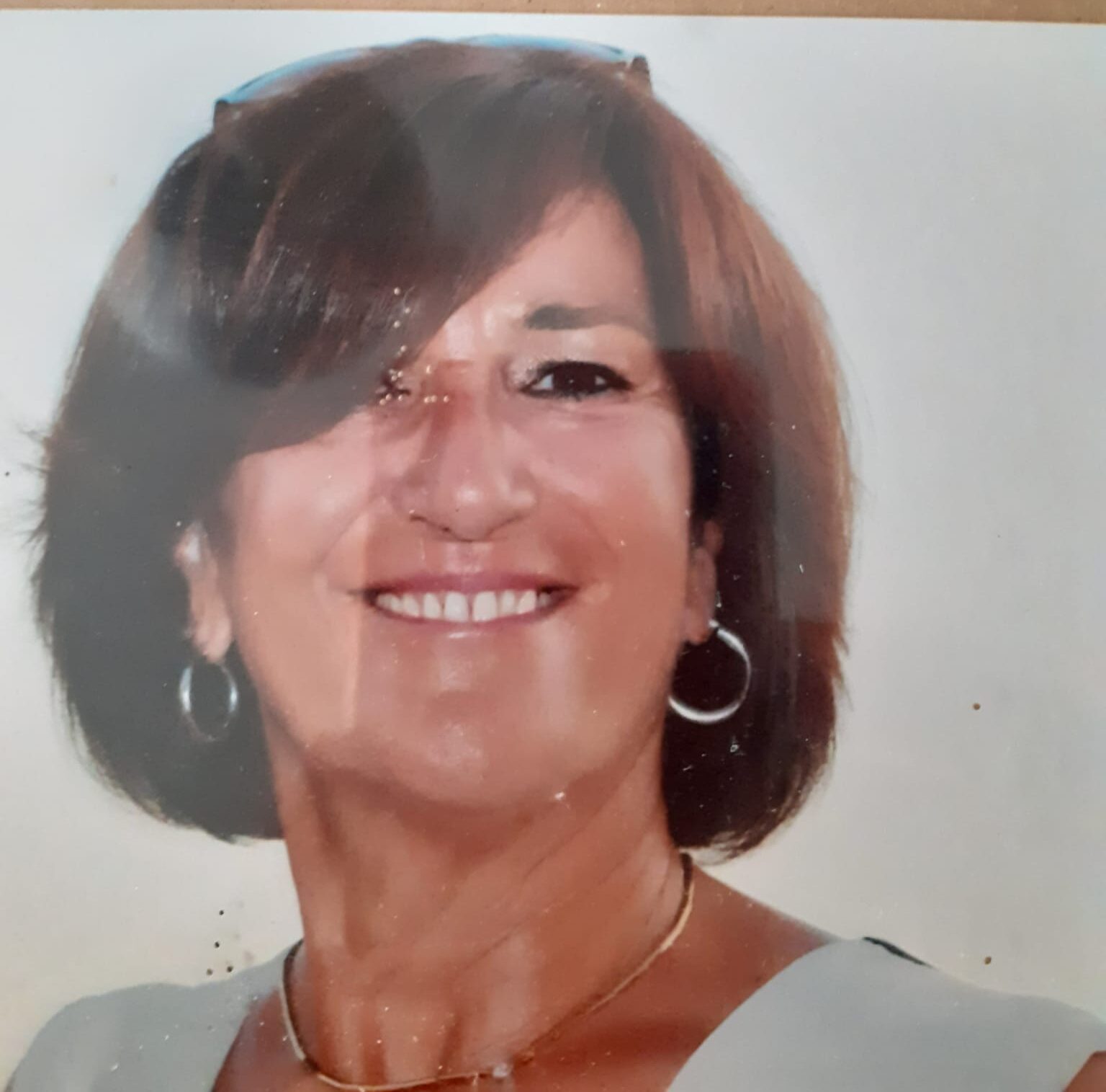 Organigramma - Ranocchi Solution